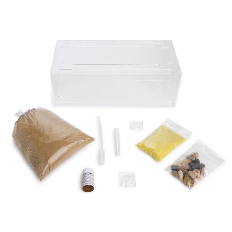 Large Ant Farm Fish Tank Including Free Queen Ant Colony