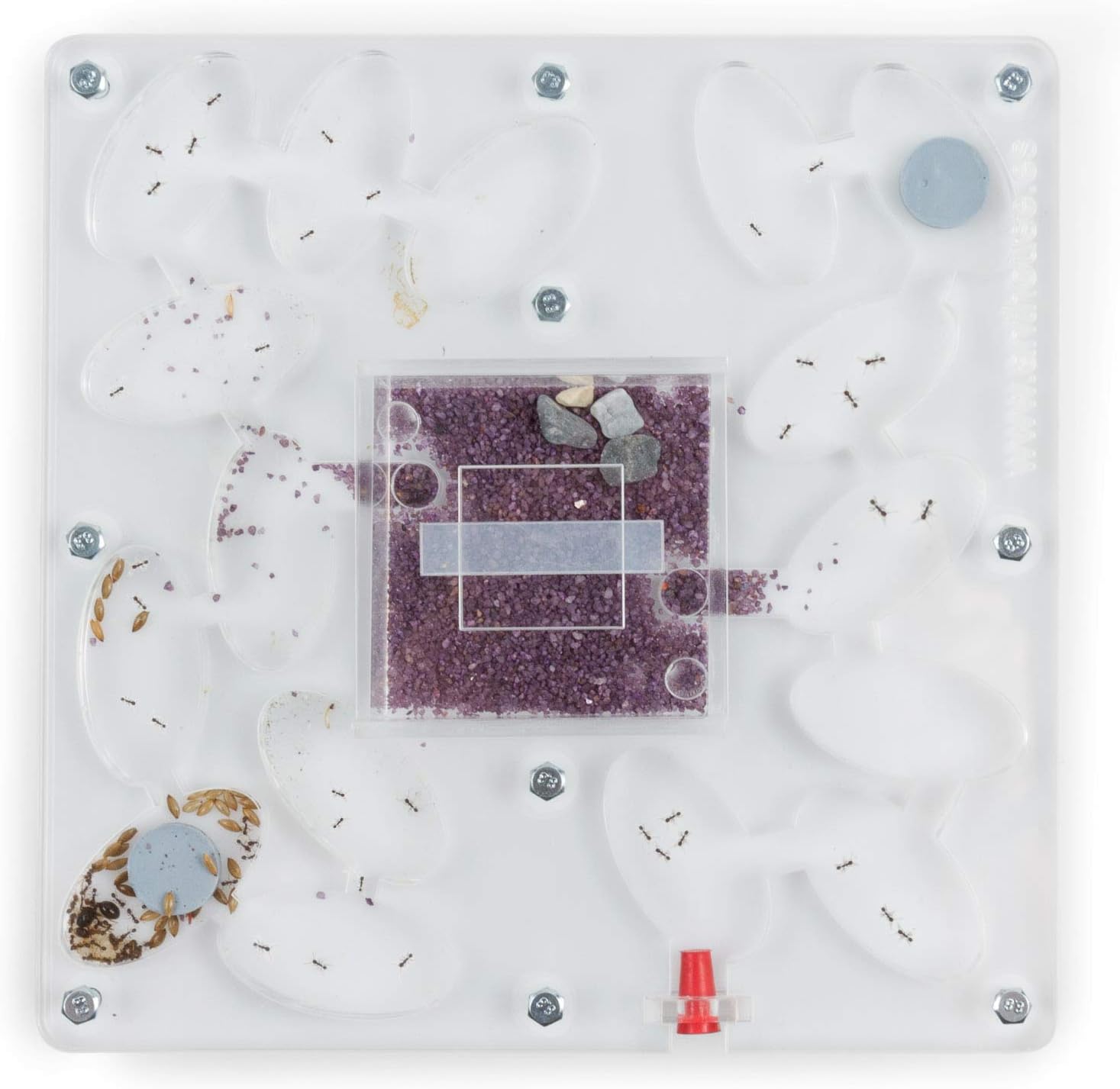 3D Printed Ant Farm 11x15x2cm