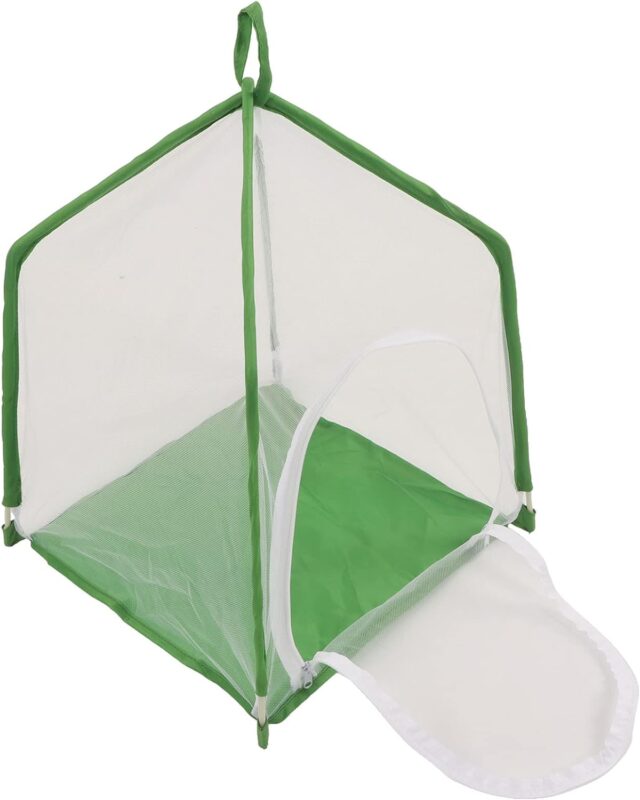 Ant Keeping UK - Ant Farms & Ant Care | Antkeeping.co.uk