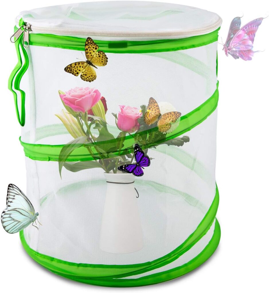 Ant Keeping UK - Ant Farms & Ant Care | Antkeeping.co.uk