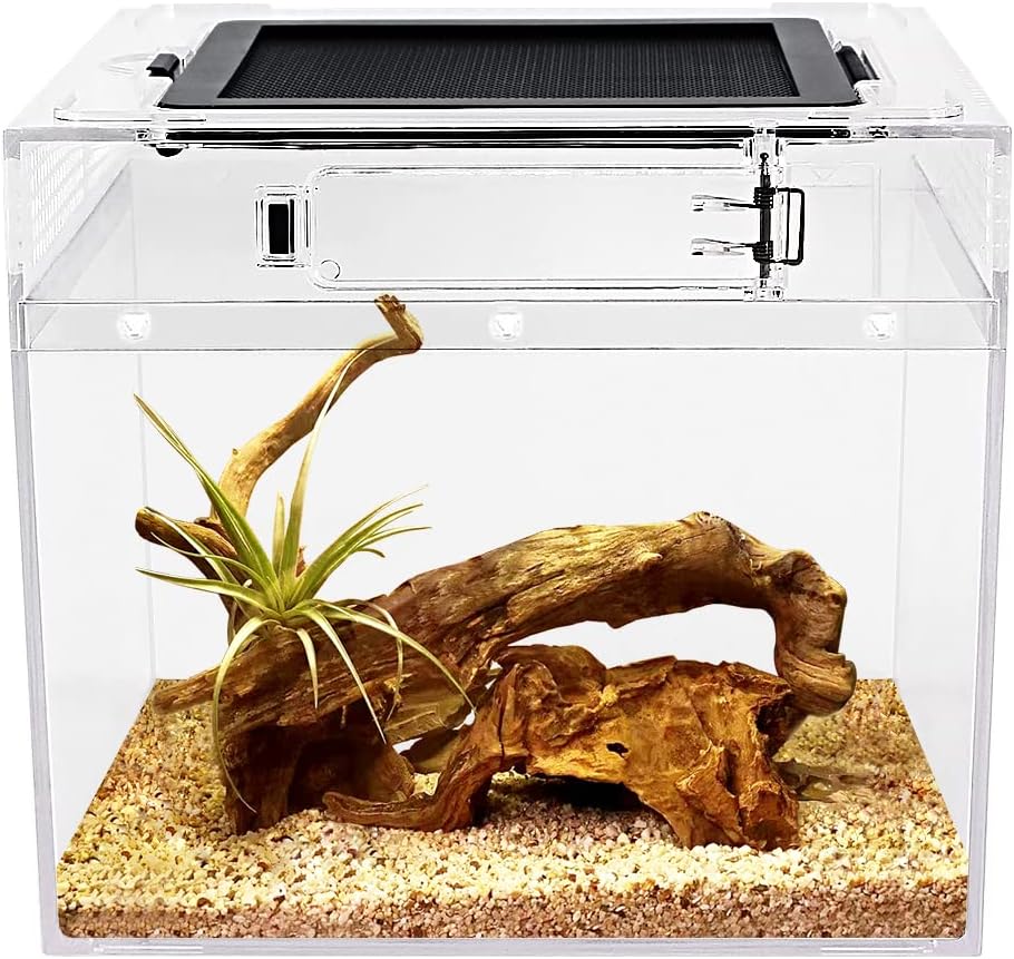 Stick Insect Terrariums - Stick Insect Tanks | Antkeeping.co.uk